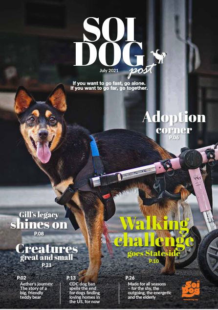 Newsletter | Soi Dog Foundation