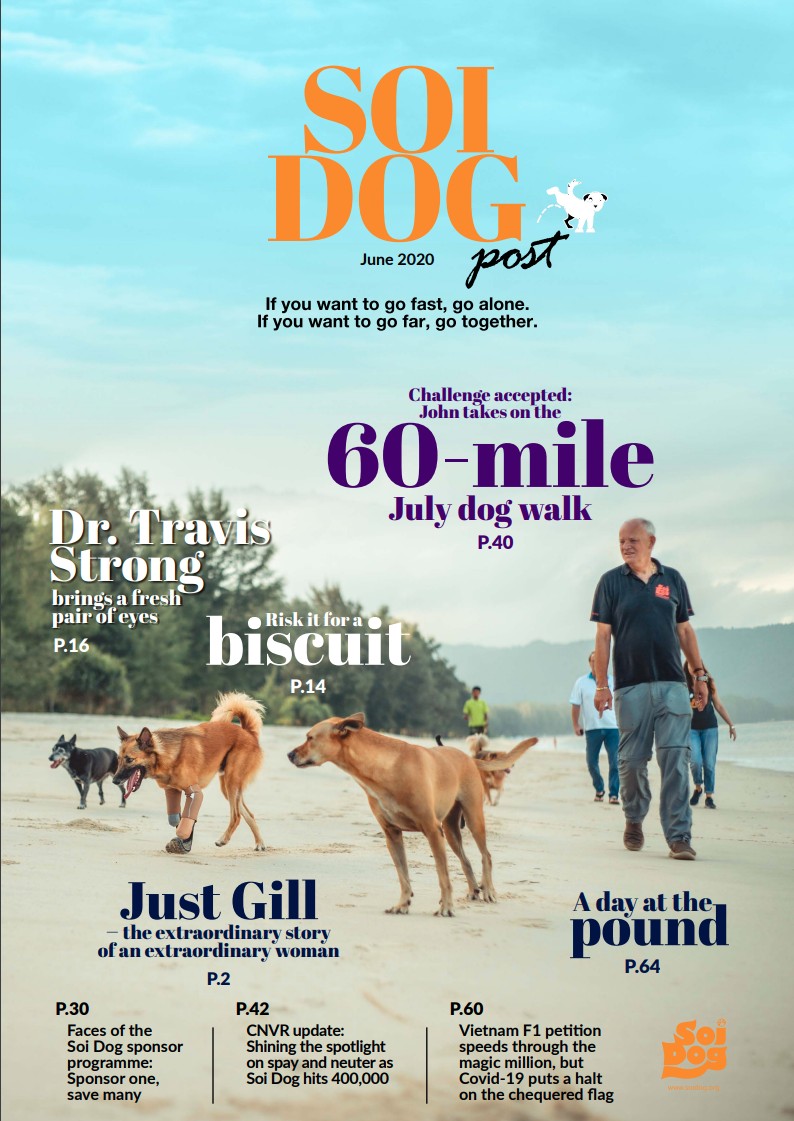 Newsletter | Soi Dog Foundation